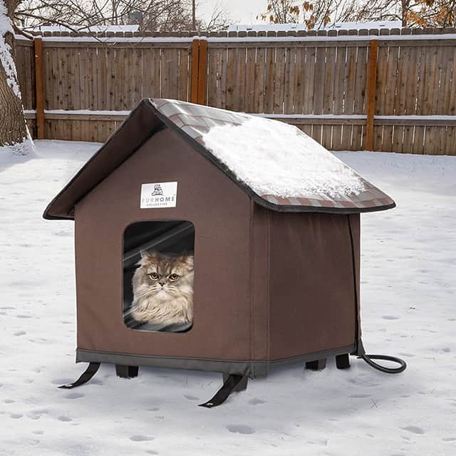 The 7 Best Heated Cat Houses In 2024 Fabathome